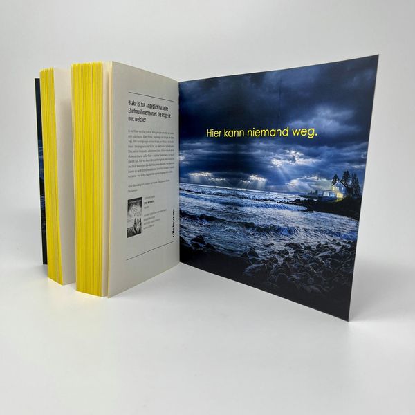 'Nur du und ich' von 'Laure Van Rensburg' - Buch - '978-3-86493-179-6'