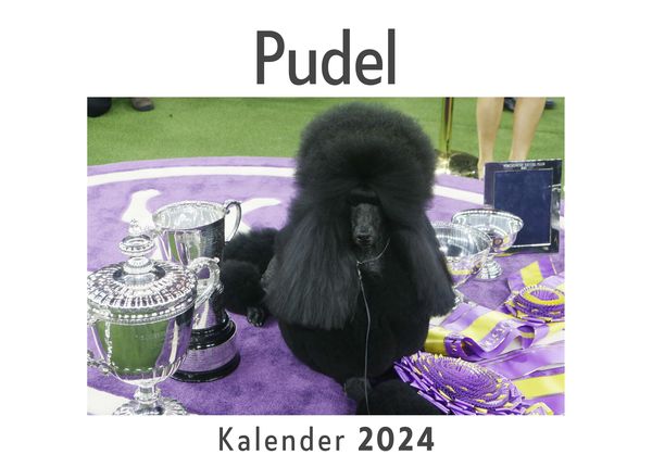 "Pudel (Wandkalender 2024, Kalender DIN A4 quer, Monatskalender im ...