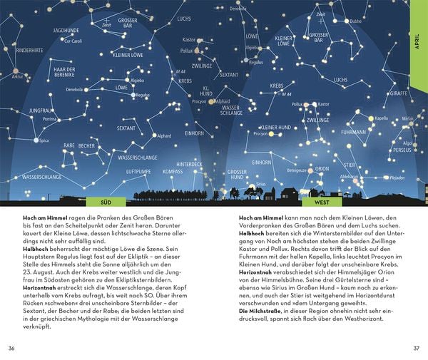 "Basic Sternbilder" online kaufen