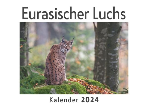 "Eurasischer Luchs (Wandkalender 2024, Kalender DIN A4 quer ...