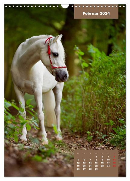 'Pferdekalender (Wandkalender 2024 DIN A3 hoch), CALVENDO ...