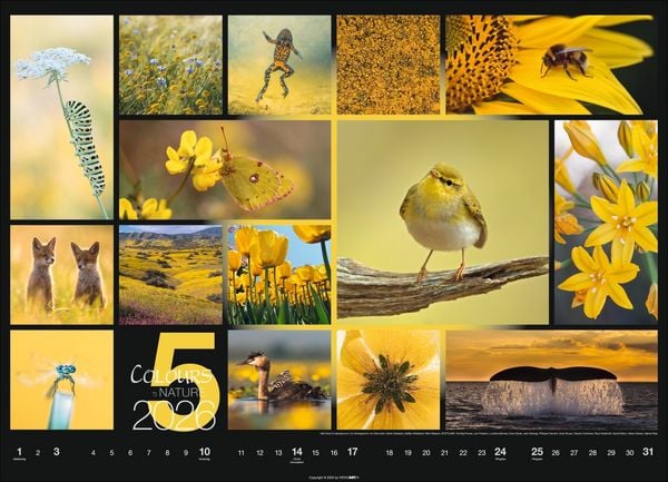 "Colours of Nature Kalender 2026" kaufen