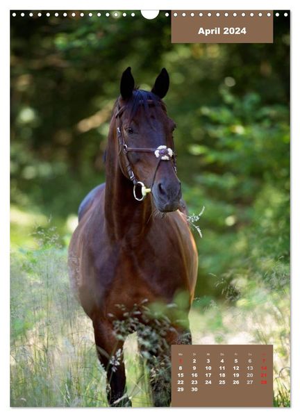 'Pferdekalender (Wandkalender 2024 DIN A3 hoch), CALVENDO ...