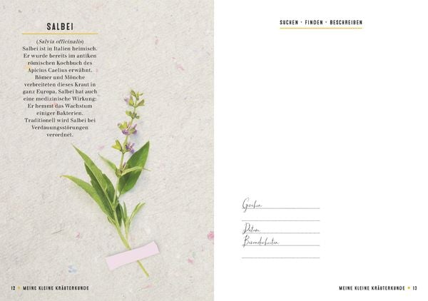 "Meine kleine Kräuterkunde" online kaufen
