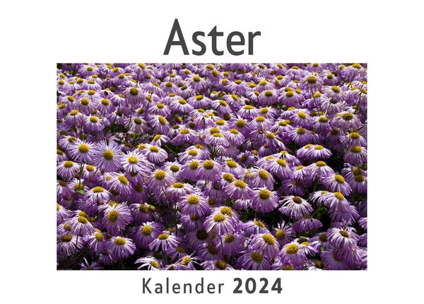 "Aster (Wandkalender 2024, Kalender DIN A4 quer, Monatskalender im Querformat mit Kalendarium ...