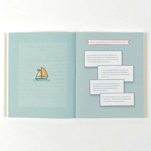 "Der Loop-Approach" online kaufen