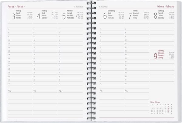 'Ladytimer Ringbuch Statement 2025 - Taschen-Kalender A5 (15x21 cm ...