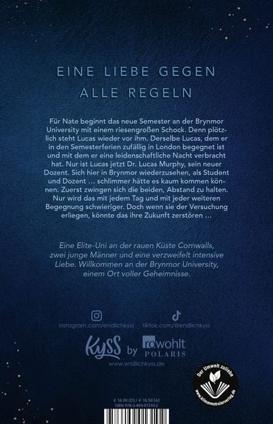 "Brynmor University – Versuchungen" online kaufen