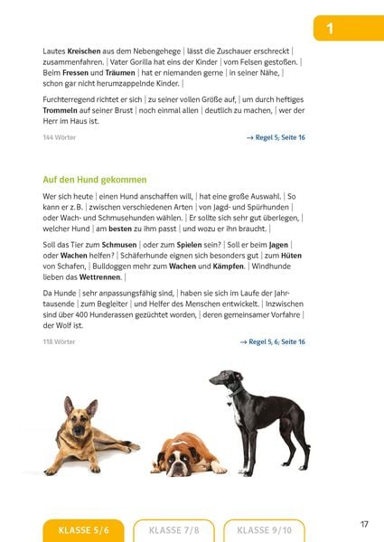 'Klett Sicher in Deutsch Diktate 5.-10. Klasse' - 'Deutsch' Schulbuch ...