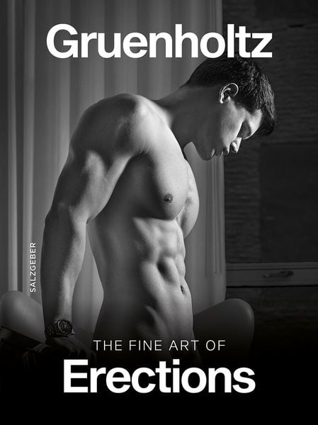 'The Fine Art of Erections' von 'Gruenholtz' - Buch - '978-3-95985-665-2'