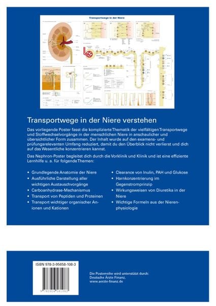 "Nephron-Poster" online kaufen