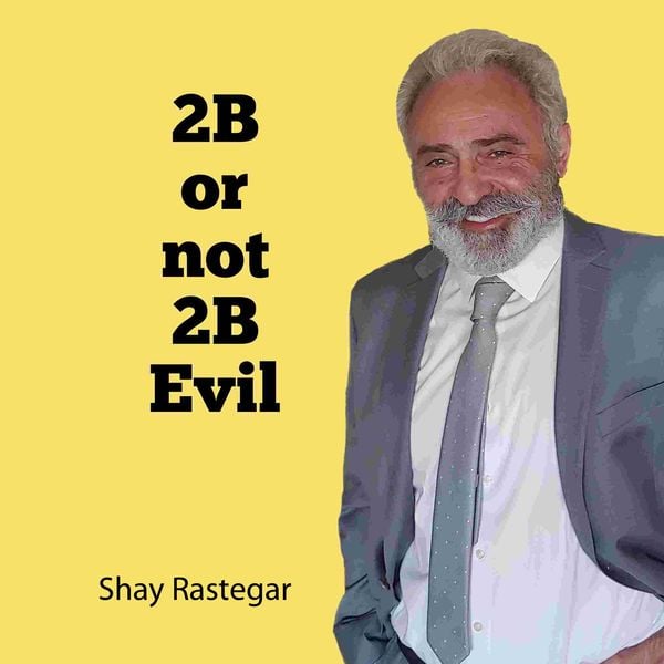 "2B or not 2B Evil" als Hörbuch kaufen