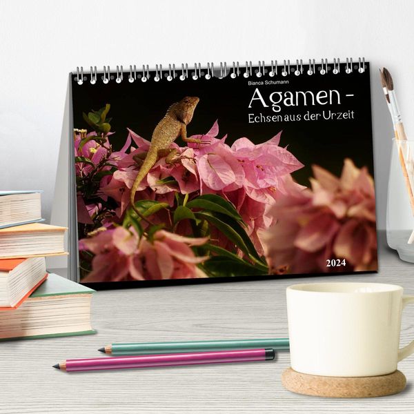 'Agamen - Echsen aus der Urzeit (Tischkalender 2024 DIN A5 quer ...
