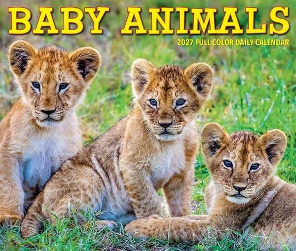 "Baby Animals 2027 5.4 X 6.2 Box Calendar" kaufen