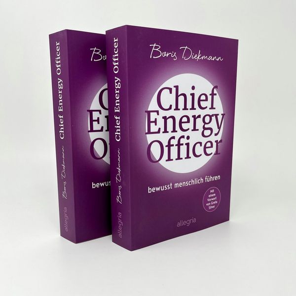 'Chief Energy Officer' von 'Boris Diekmann' - Buch - '978-3-7934-2459-8'