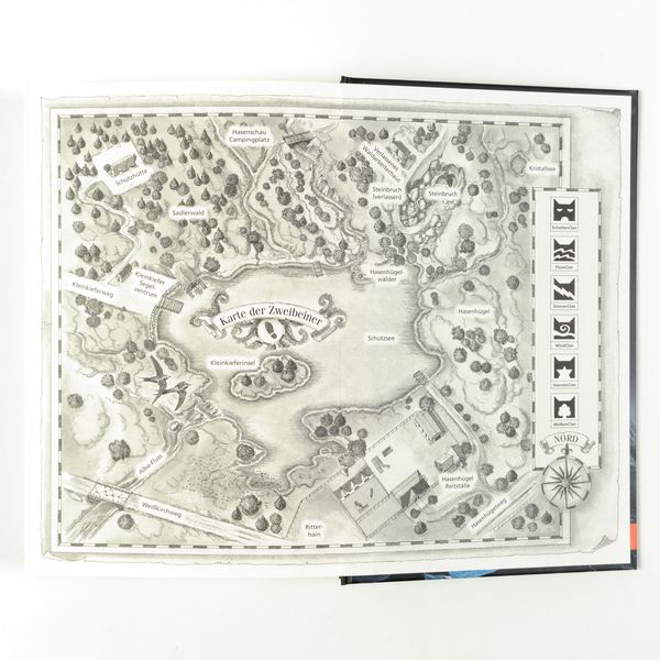 'Warrior Cats - Ein sternenloser Clan. Wolken' von 'Erin Hunter' - Buch ...