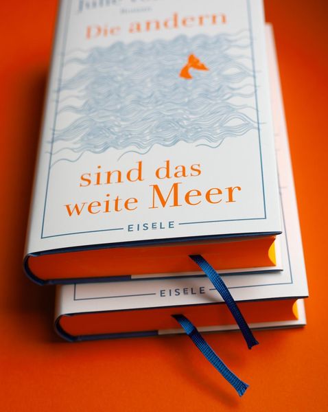 "Die andern sind das weite Meer" online kaufen