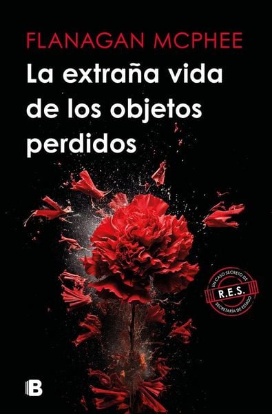 "La Extraña Vida de Los Objetos Perdidos / The Strange Life of Lost ...
