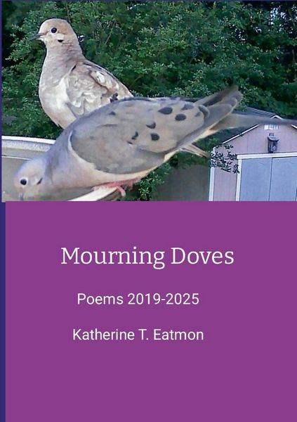 "Mourning Doves" auf Englisch kaufen