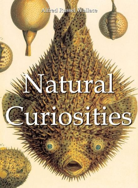"Natural Curiosities" als eBook kaufen