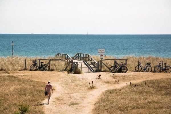 "Nackedei 3: Fahrt frei" online kaufen