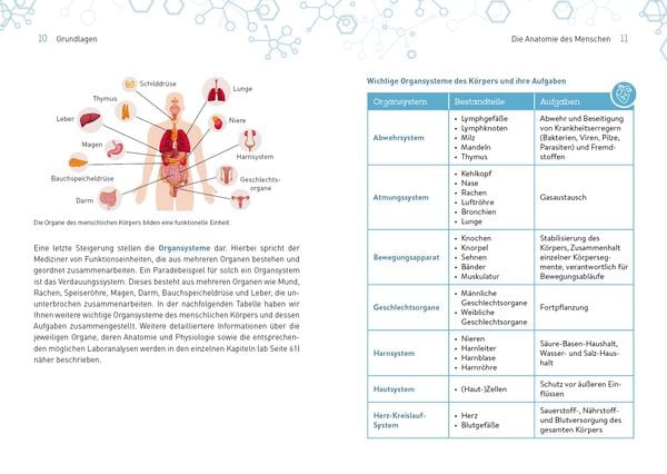"Laborwerte einfach erklärt" online kaufen