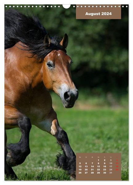 'Pferdekalender (Wandkalender 2024 DIN A3 hoch), CALVENDO ...