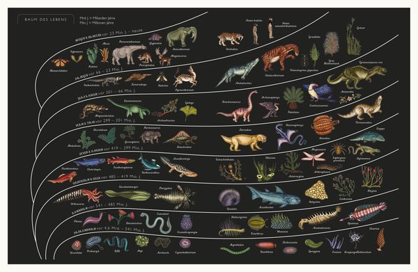 "Die Entstehung des Lebens. Evolution" online kaufen