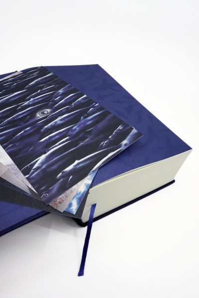 'Der Schwarm' von 'Frank Schätzing' - Buch - '978-3-462-00510-3'