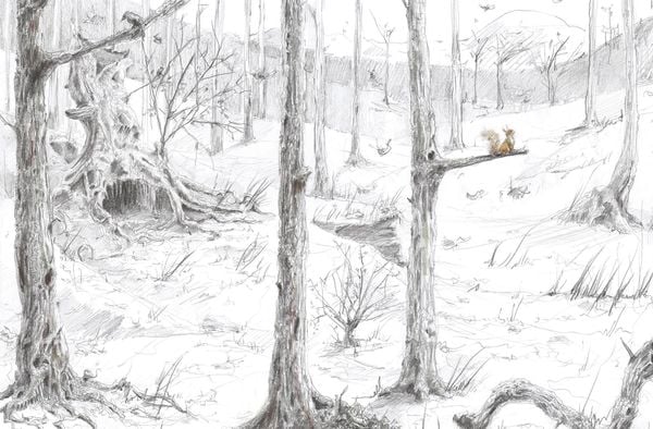 Herr Eichhorn und der erste Schnee von Sebastian Meschenmoser - Buch ...