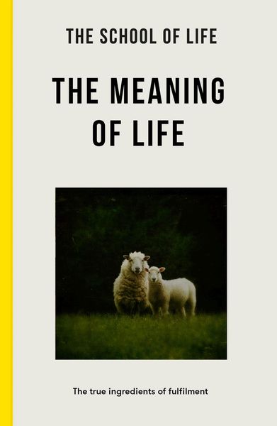 "The Meaning of Life" auf Englisch kaufen