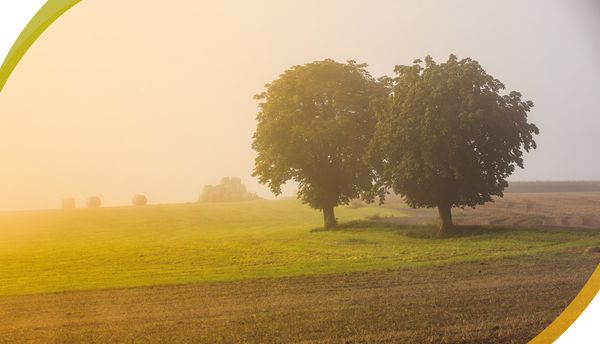 Ein Riese namens Heimat – Un géant nommé Pays - Heimat von Christian ...