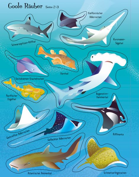 "Mein erstes Stickerbuch: Haie und Rochen" online kaufen