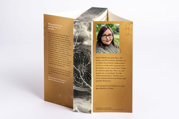 "A Curse so Divine – Der Wunsch, der uns zerreißt" von Emily Bähr bei ...