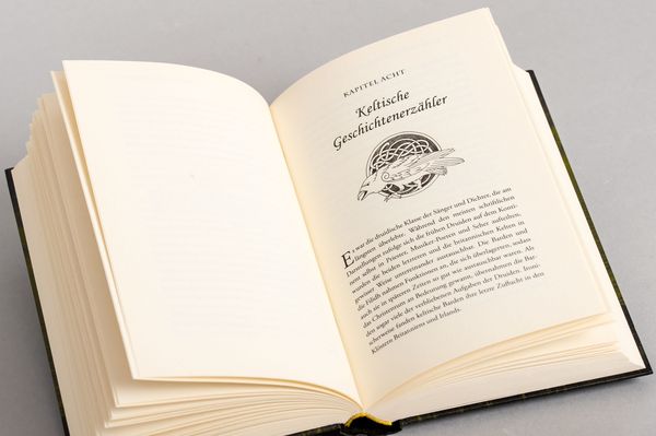 "Das Buch der keltischen Mythen" online kaufen