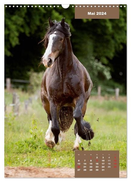'Pferdekalender (Wandkalender 2024 DIN A3 hoch), CALVENDO ...