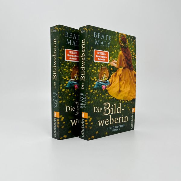 'Die Bildweberin' von 'Beate Maly' - Buch - '978-3-548-06502-1'