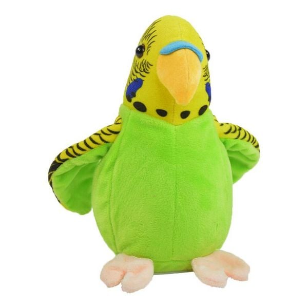 Laber Wellensittich, grün kaufen