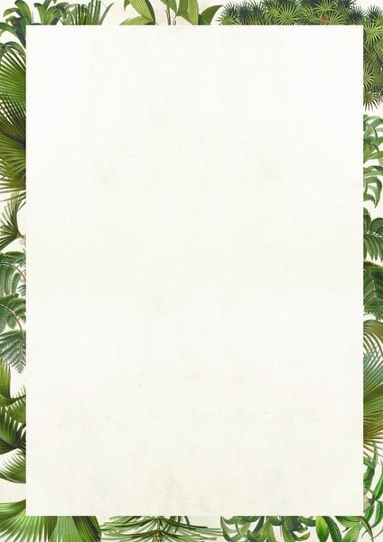 "Briefpapier-Set" online kaufen