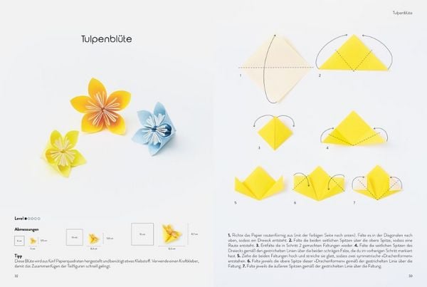 'Das große Origami Buch' von 'Adeline Klam' - Buch - '978-3-8388-3857-1'