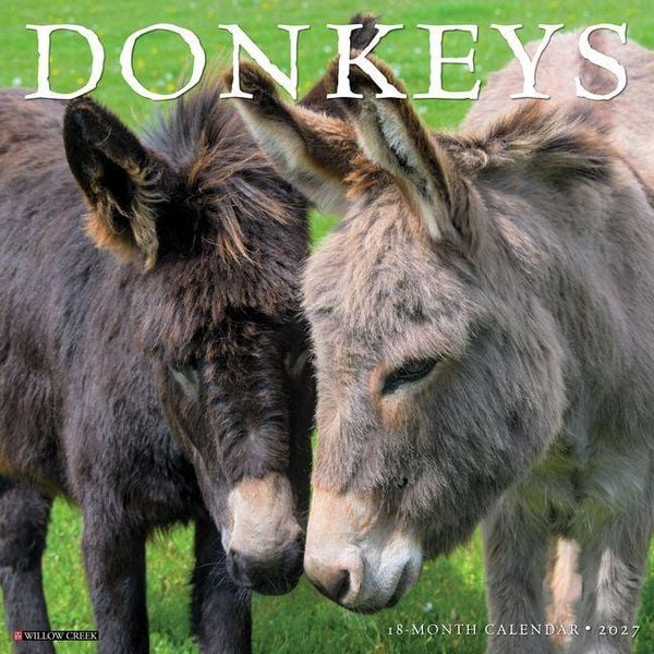 "Donkeys 2027 12 X 12 Wall Calendar" kaufen