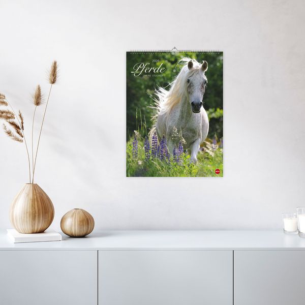 "Pferde Classics Posterkalender 2026" kaufen