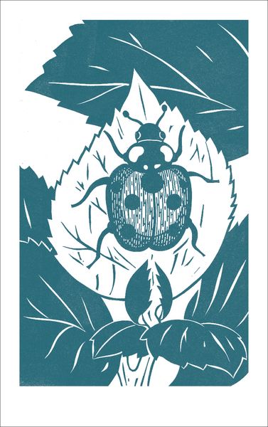 'Vom Blühen und Vergehen' von 'Marc Hamer' - Buch - '978-3-458-64291-6'