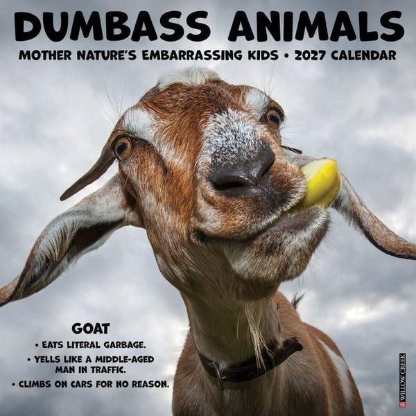 "Dumbass Animals 2027 12 X 12 Wall Calendar" kaufen