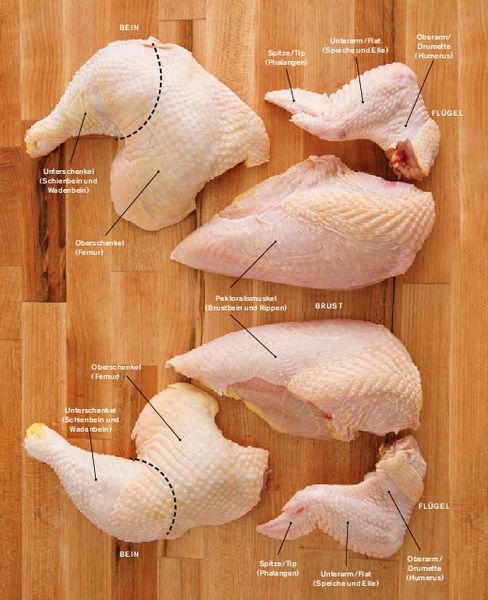 Hausschlachtung Huhn - Nachhaltige Selbstversorgung von Adam Danforth ...