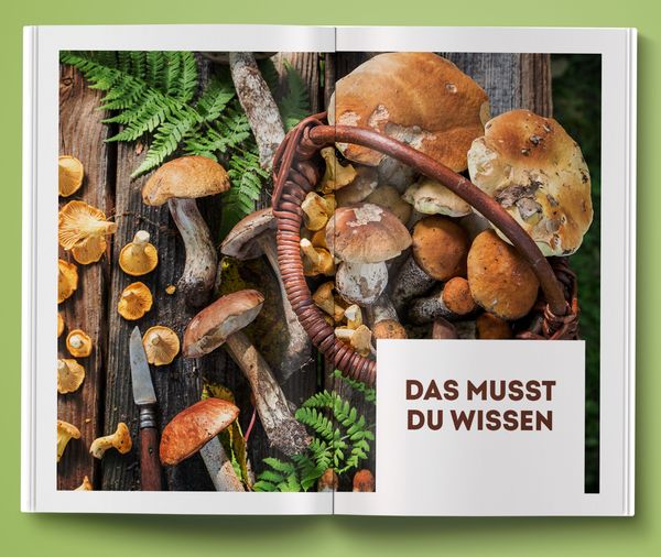 "Unbekannte Leckereien: 30 Pilzarten, deren Geschmack dich überraschen ...