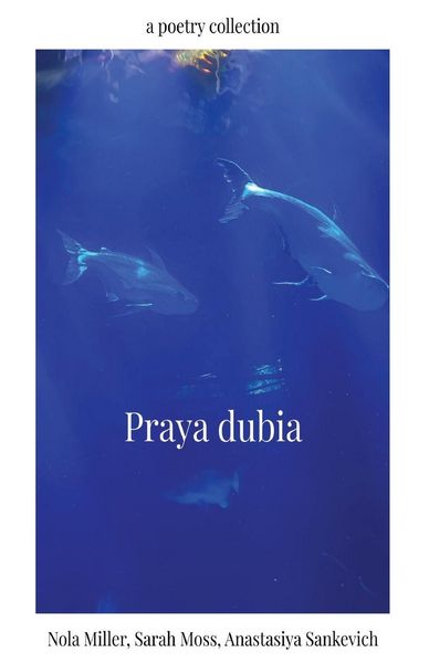"Praya dubia" auf Englisch kaufen