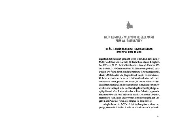 'Mein Leben im Wald' von 'Woid Woife' - Buch - '978-3-7109-0051-8'