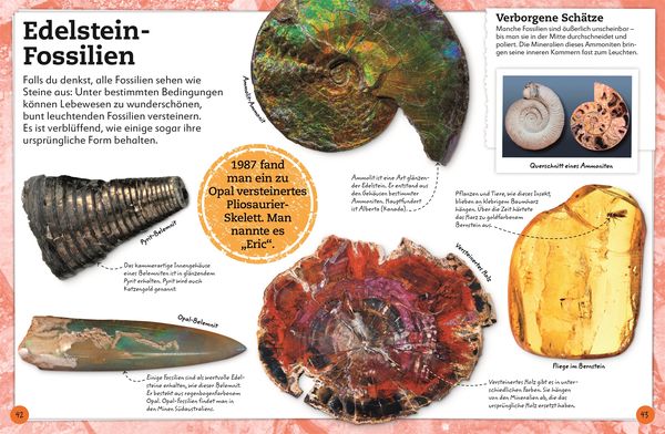 Fossilien von Dean Lomax - Buch | Thalia