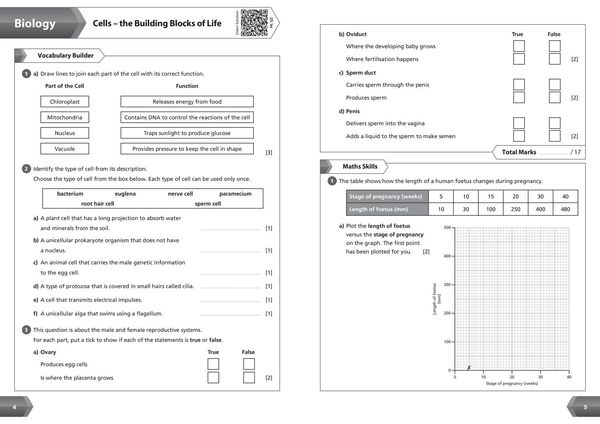 'KS3 Science Year 7 Workbook' - 'Nach Schulform' Schulbuch - '978-0-00 ...